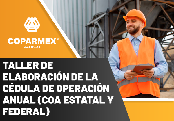 Taller de Elaboración de la Cédula de Operación Anual (COA Estatal y ...